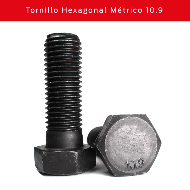 PROTOSA - Desde 1966