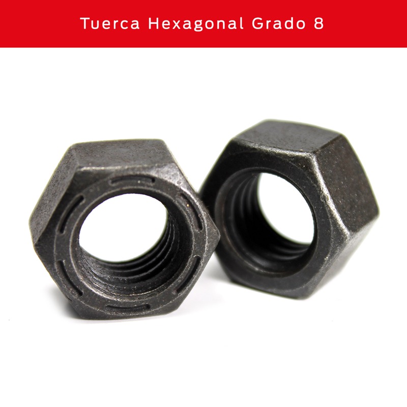 PROTOSA - Desde 1966