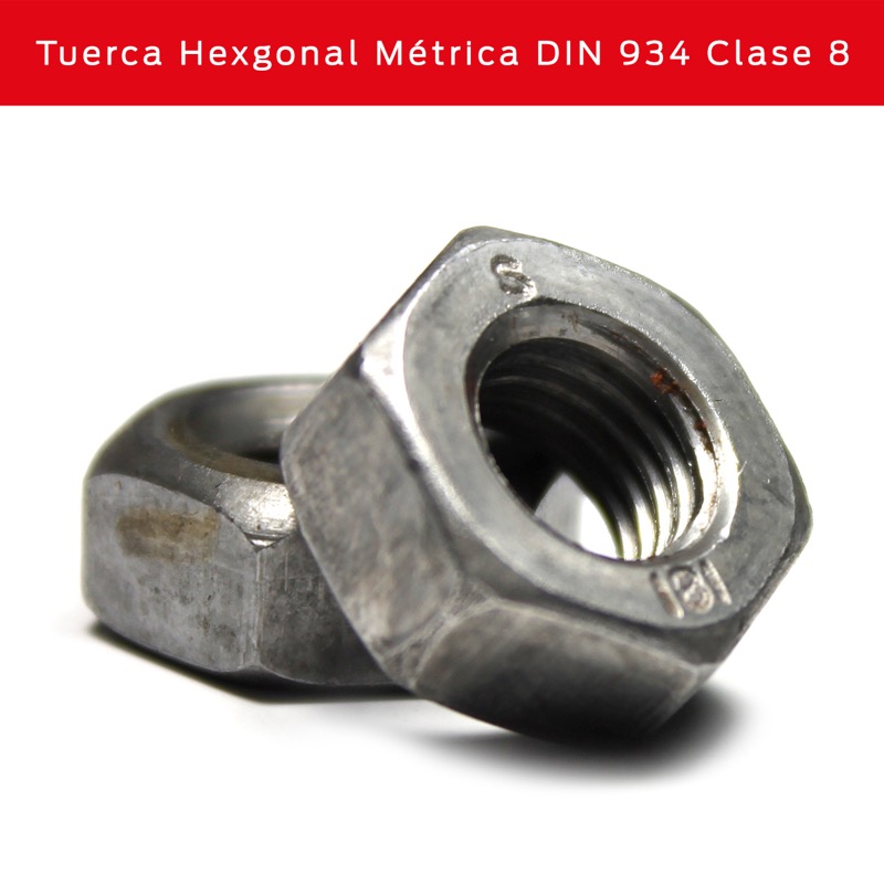 PROTOSA - Desde 1966